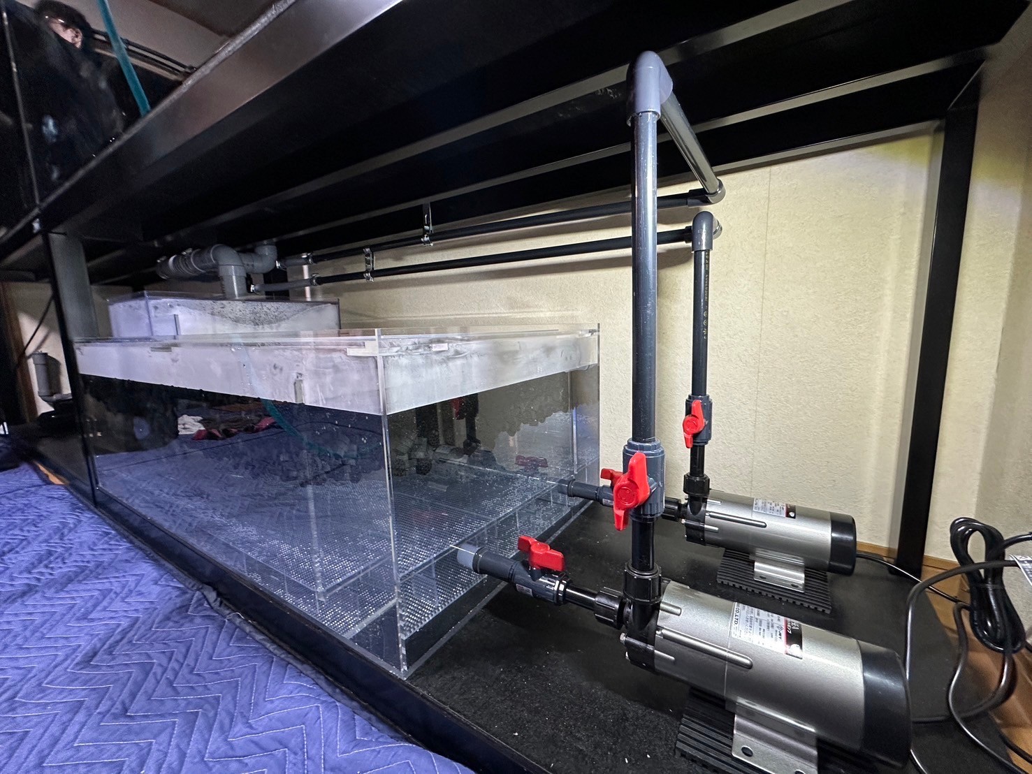 兵庫県尼崎市 T様邸 W1800/D600/H600 W1500/D600/H600【リフジウム水槽付き連結水槽】 | オーダー水槽「トリトン水槽」